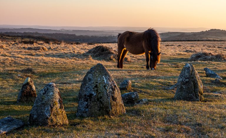 Merrivale Stone Rows - Jan-Eric Osterlund